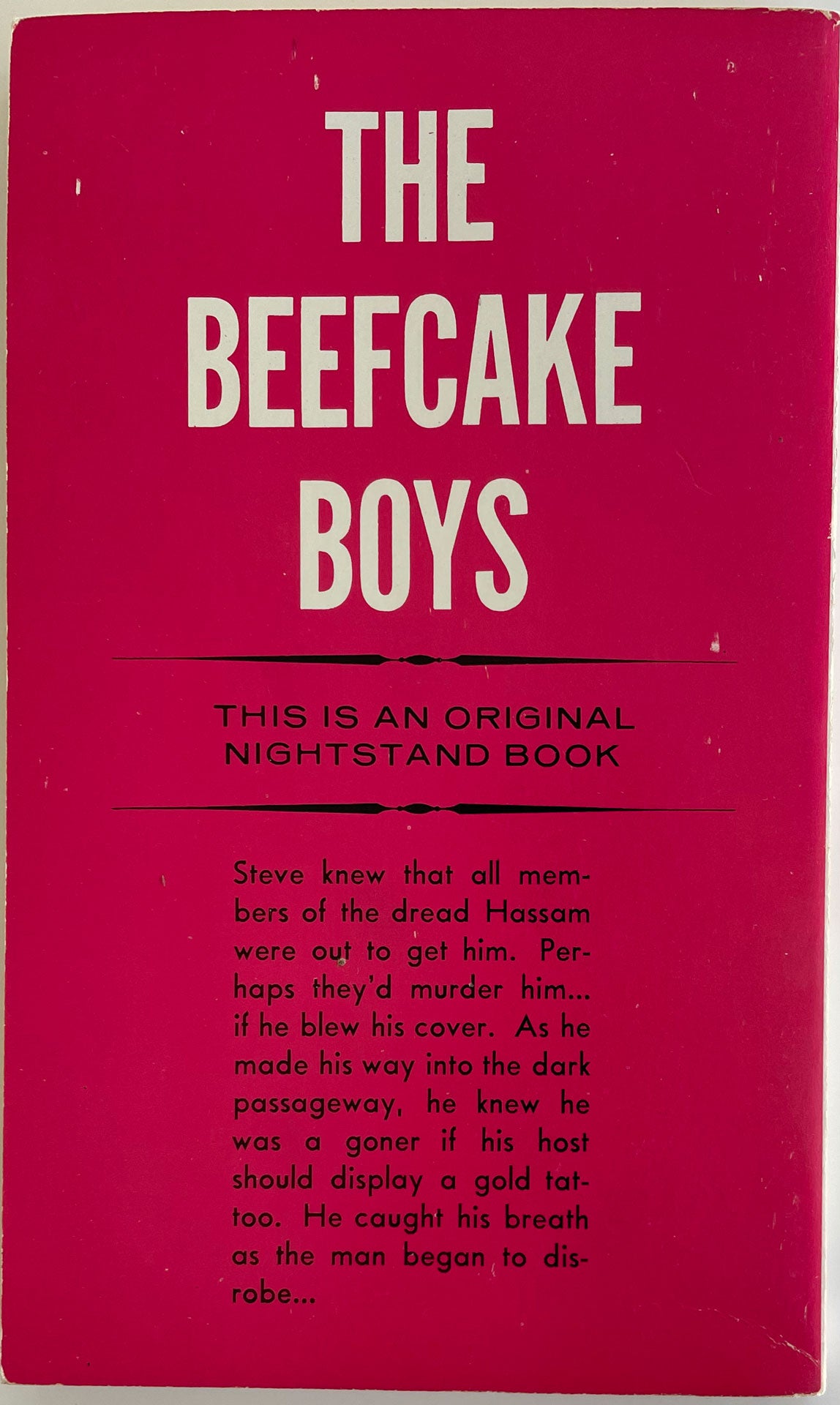 The Beefcake Boys: Vintage Gay Pulp Novel – Homobilia